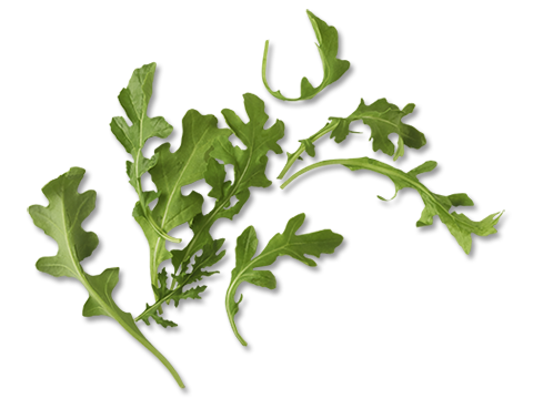 Chicken Roma Asiago Bagel Stack