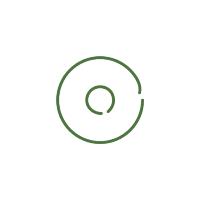 Multigrain Bagel Flat