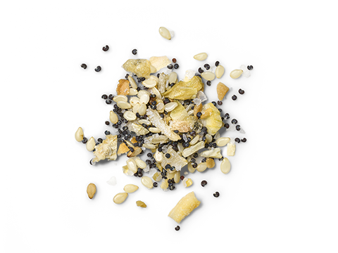 Under Maintenance | Panera Bread