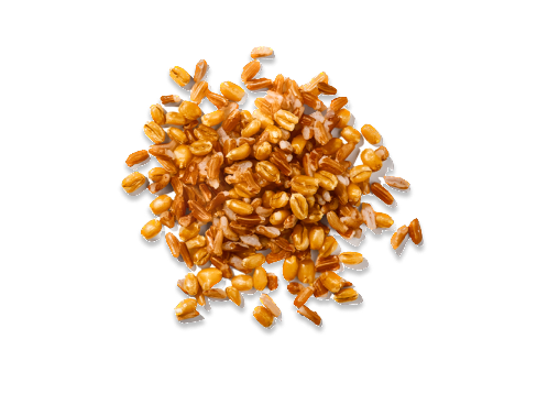 Mediterranean Greens with Grains