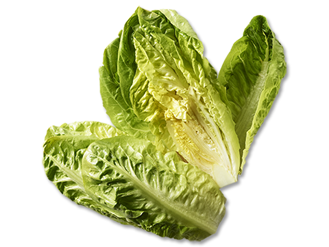 Southwest Chicken Ranch Salad